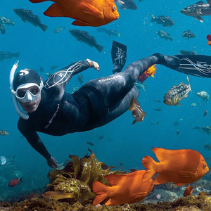 PADI Freediving Courses - Adrenalised